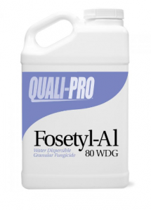 Fosetyl-Al 80 WDG - The Tessman Company