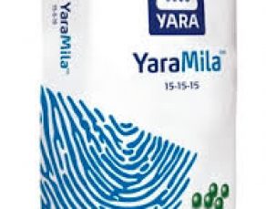 Yara - tessmanseed